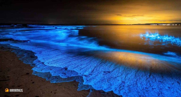 Most Beautiful Beaches in Iran | IranAmaze
