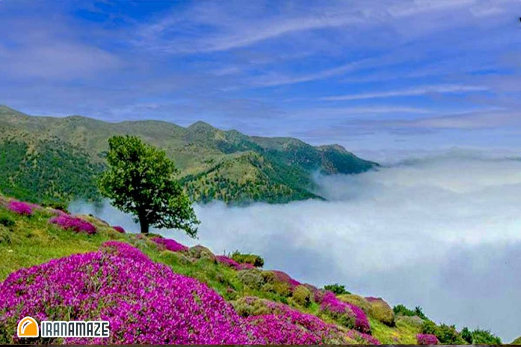 Best Places to Visit in North of Iran | IranAmaze