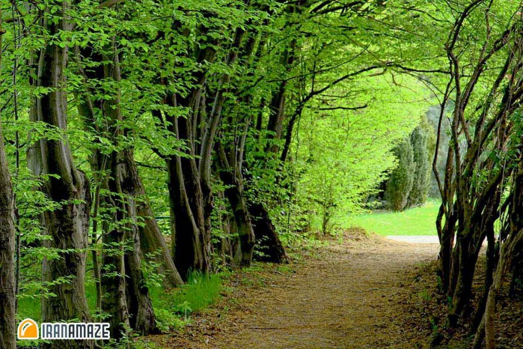 Best Places to Visit in North of Iran | IranAmaze